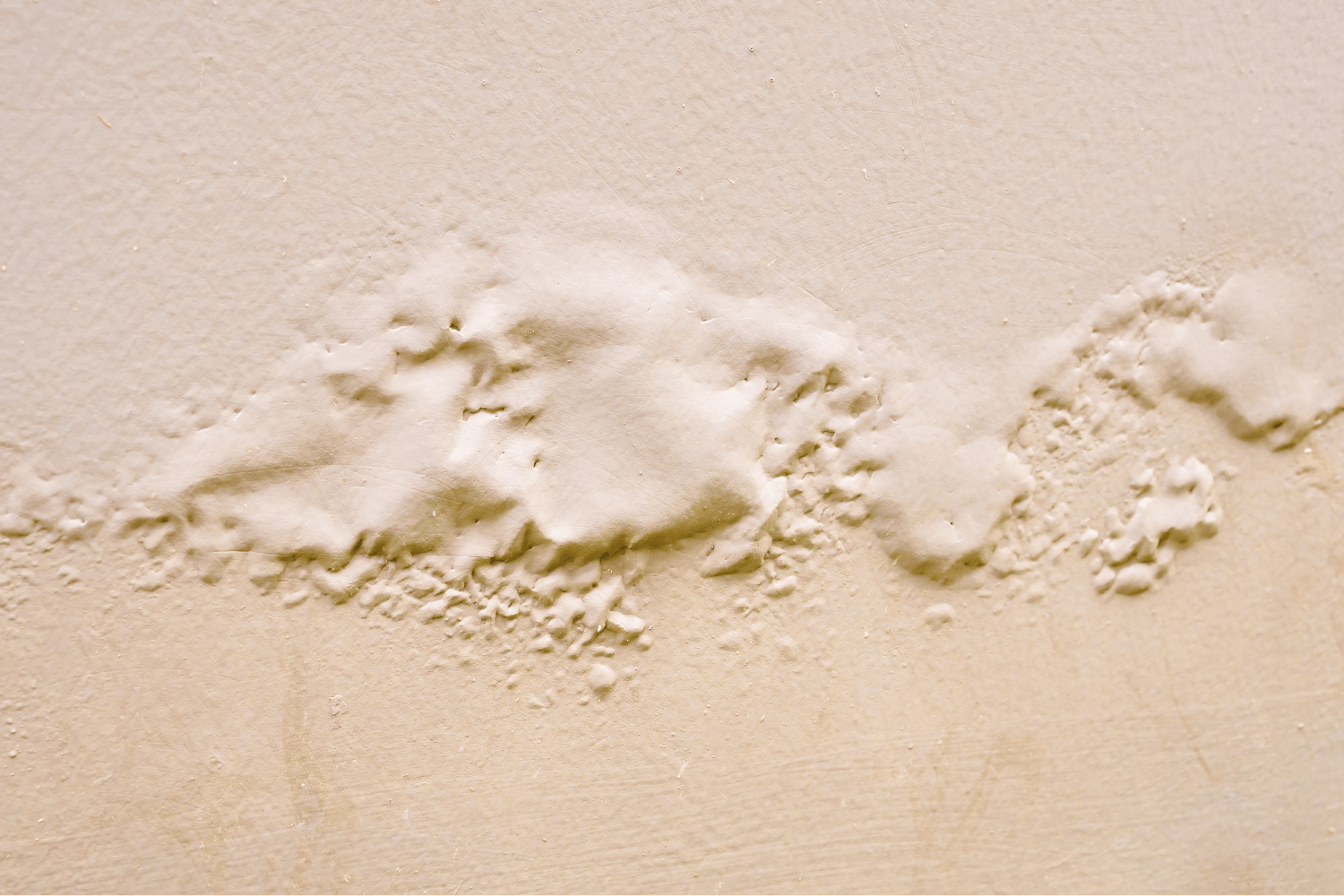 How To Treat Damp Walls | Damp, Condensation & Mould