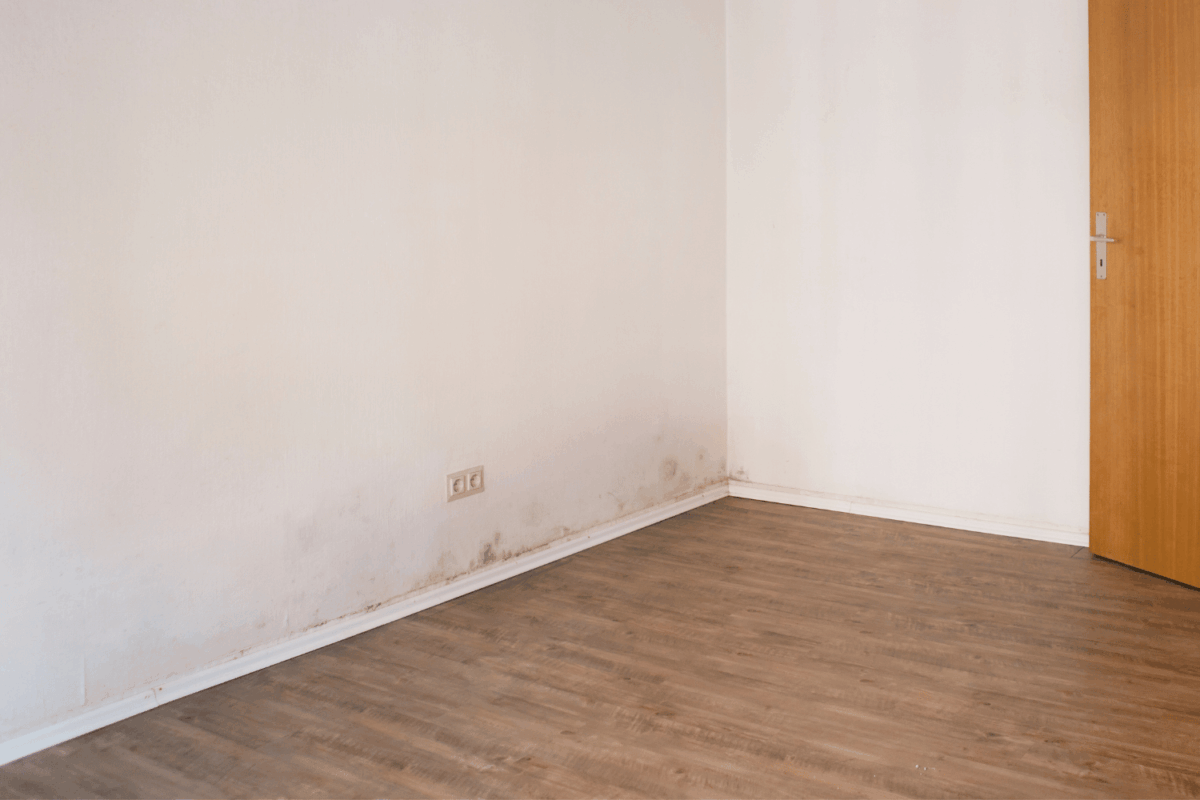Rising Damp & How To Identify It | Prevention & Treatment