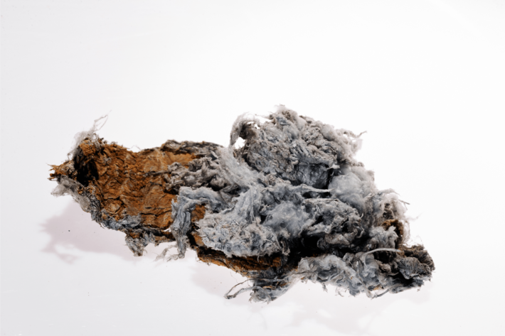 How to stop worrying about asbestos - Rainbow Restoration